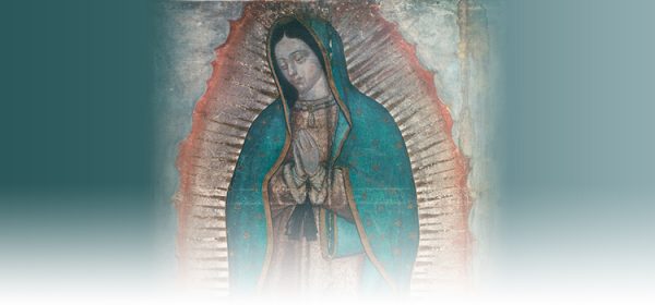 Silver Rose - Knights of Columbus Dallas Diocese Chapter